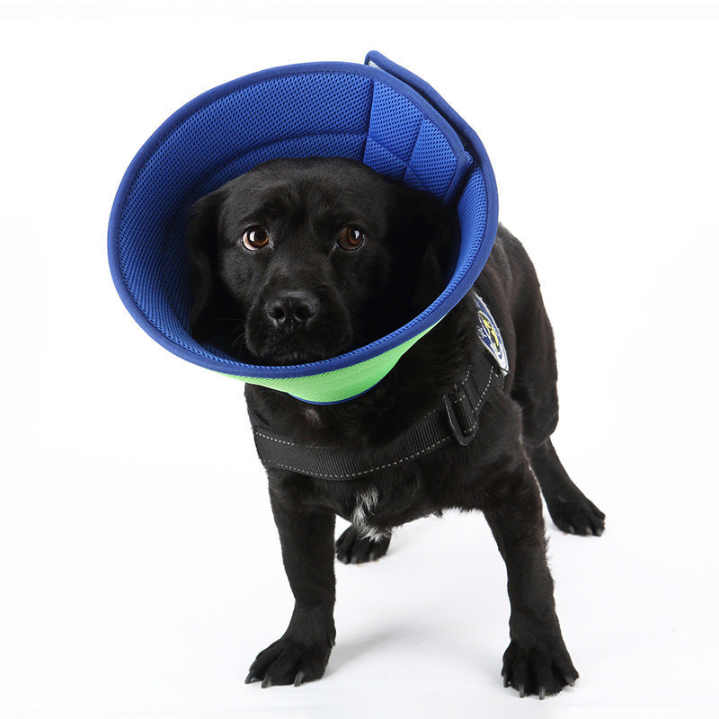 HKM-038163 Transparent Anti-Bite Recovery Collar for Dogs and Cats ...