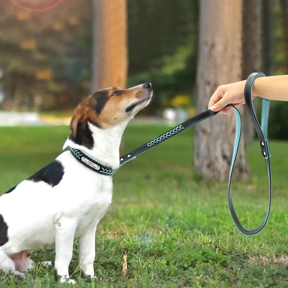 HKM-040467 Personalized Leather Anti-Lost Dog Tag for Puppies – Fast ...
